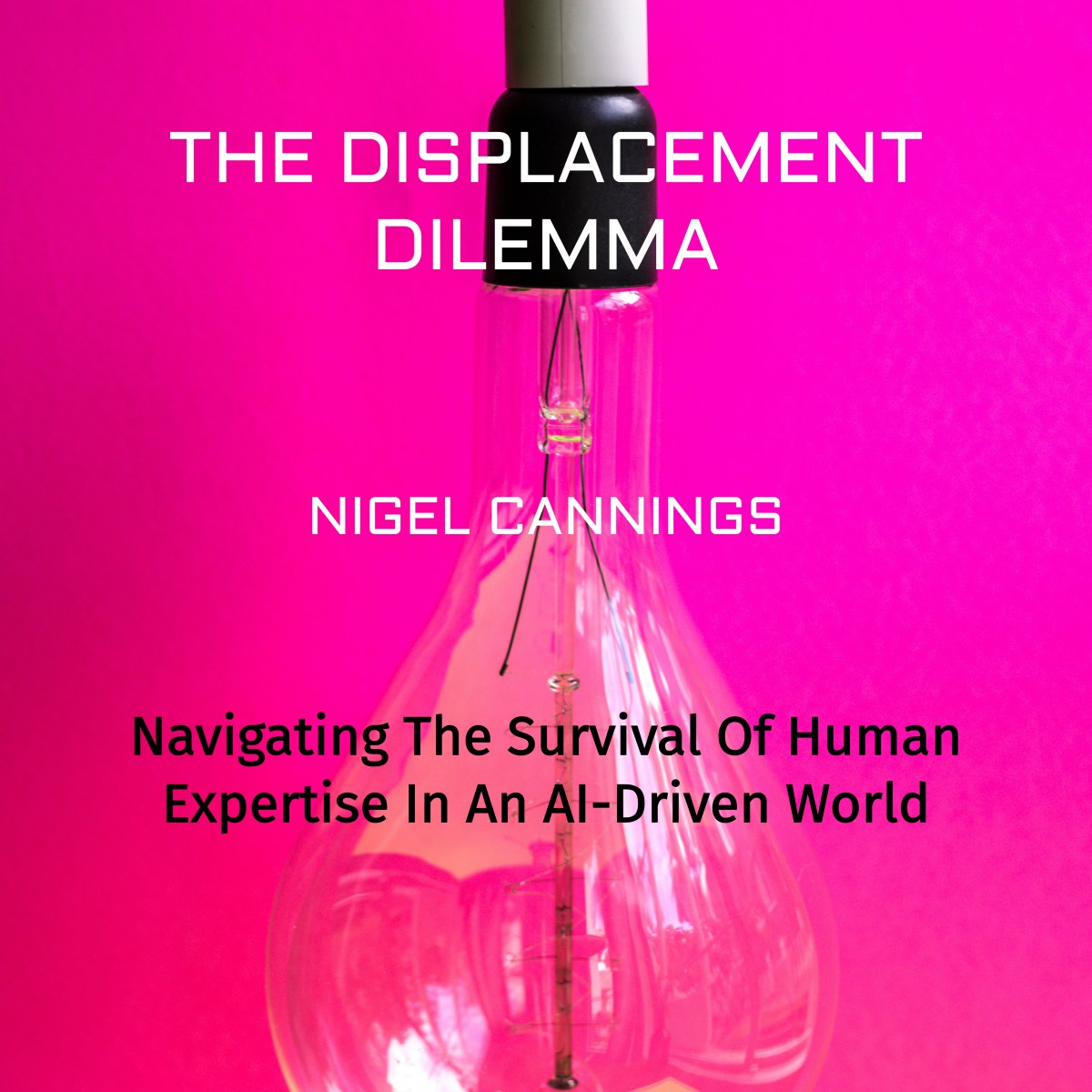 The Displacement Dilemma – Out now – Nigel Cannings – Author